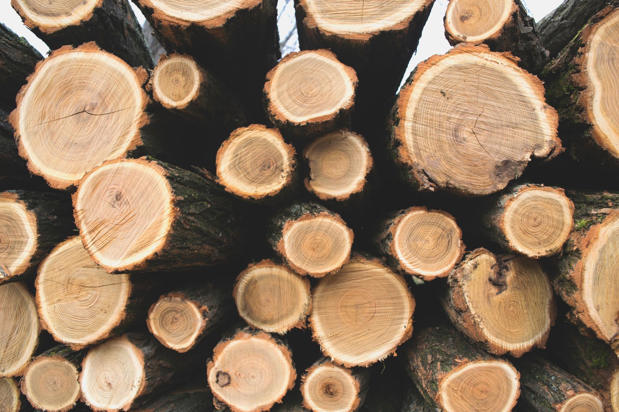 Modifying The Default Postgresql Helm Chart To Emit Logging Stark And Wayne
